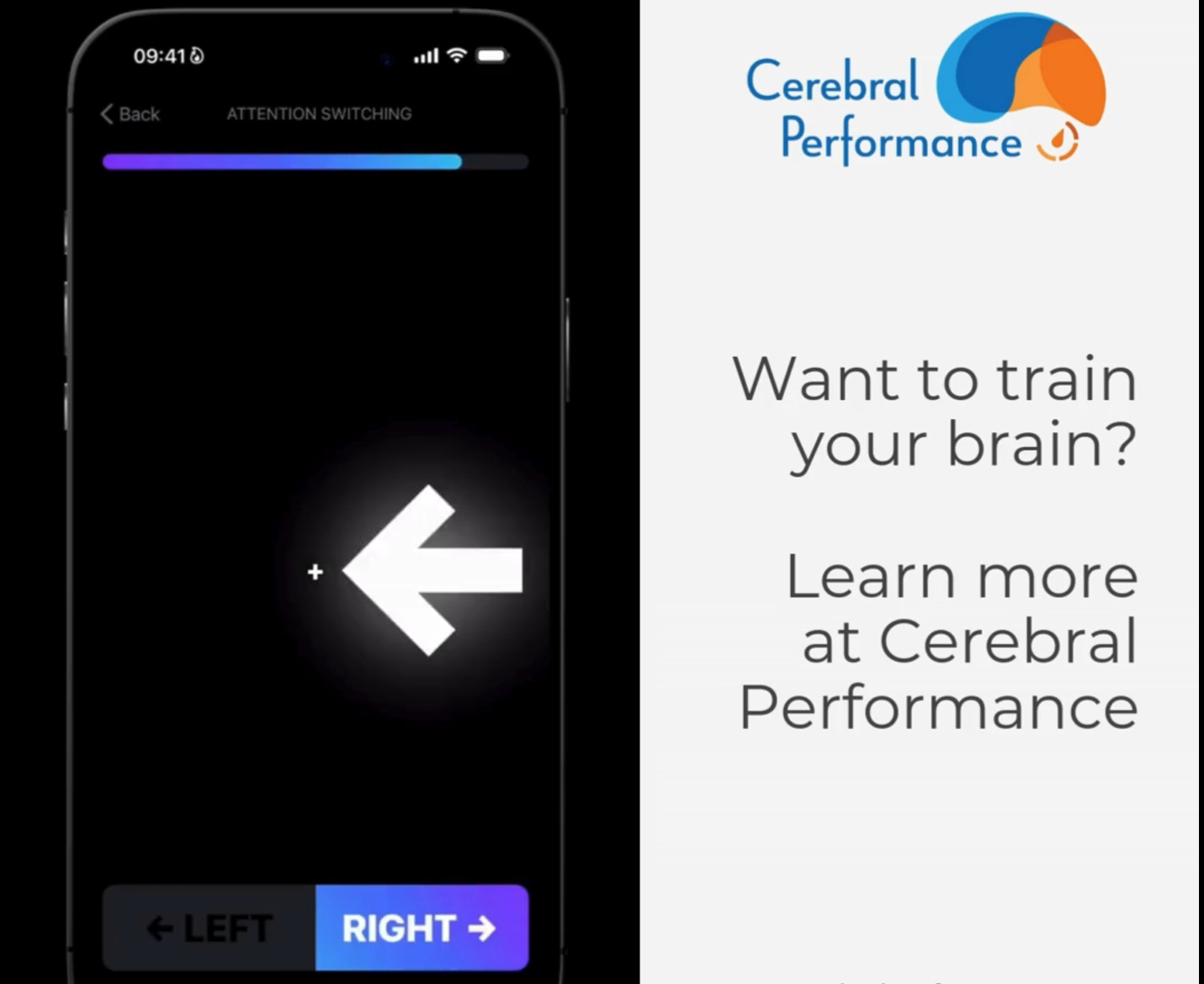 Inside Brain Endurance System Training